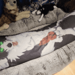 Skuru Dakimakura – Beyond The Moon